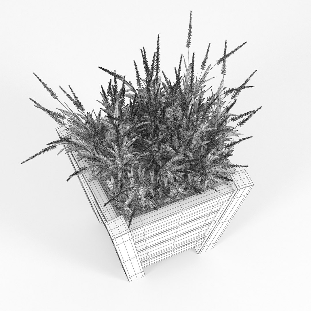 Nature Flora 3D Model - TurboSquid 1373610