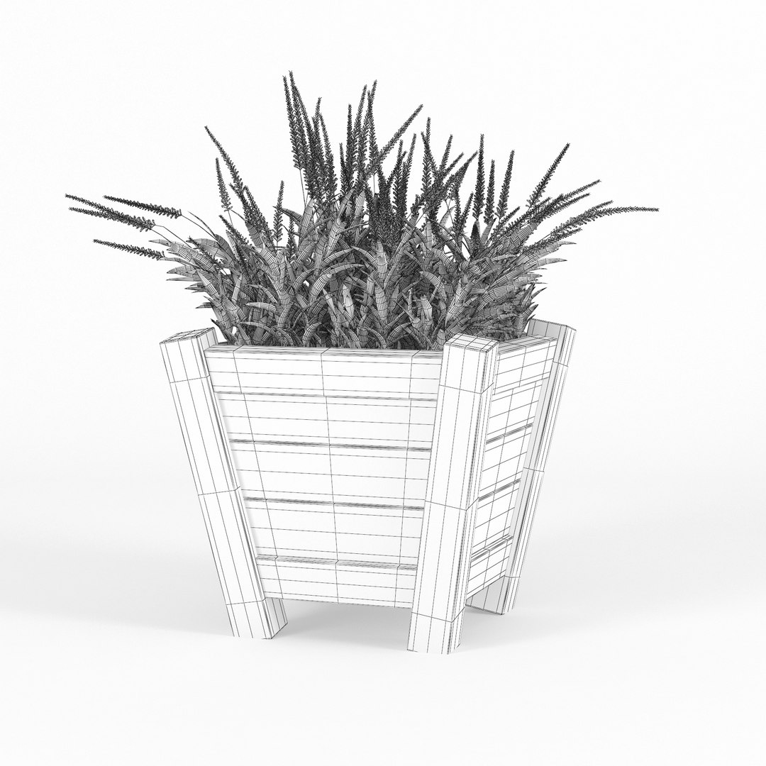 Nature Flora 3D Model - TurboSquid 1373610