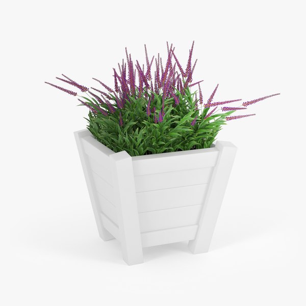 Nature flora 3D model - TurboSquid 1373610