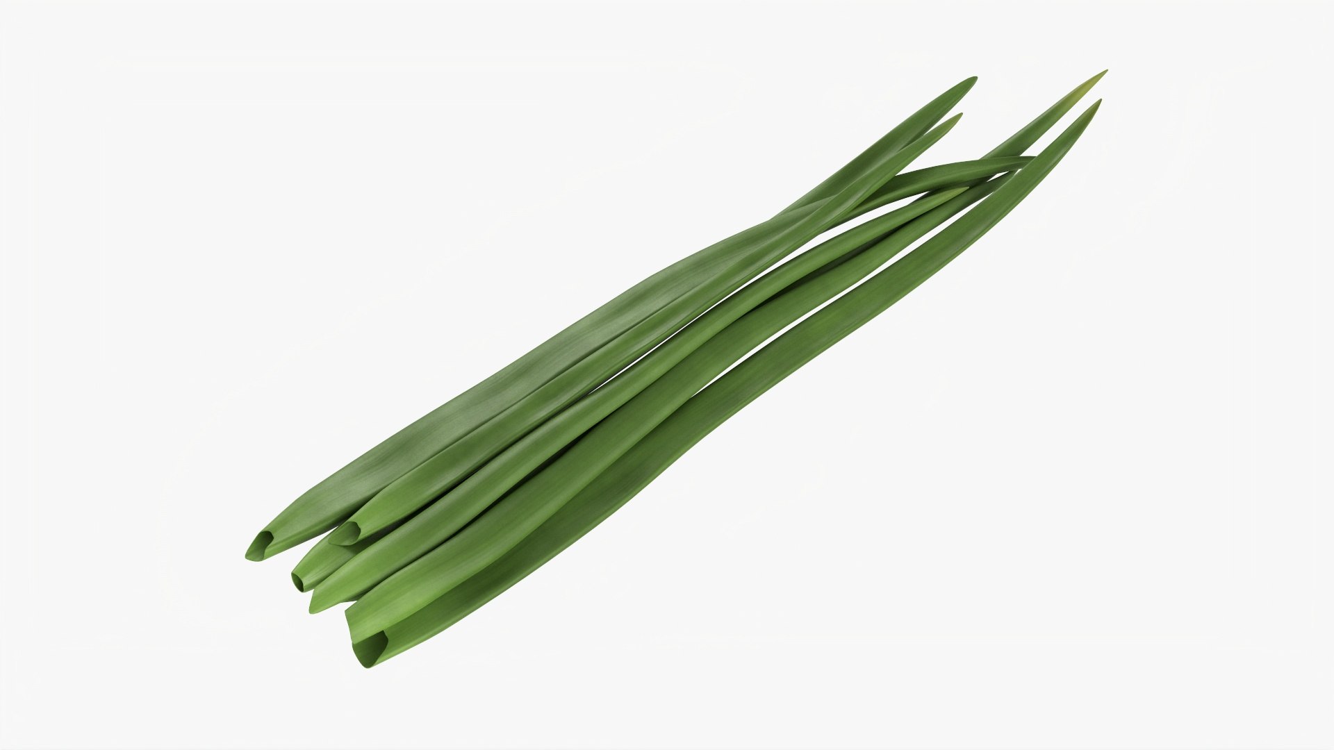 Spring Onions 03 3D Model - TurboSquid 1770514