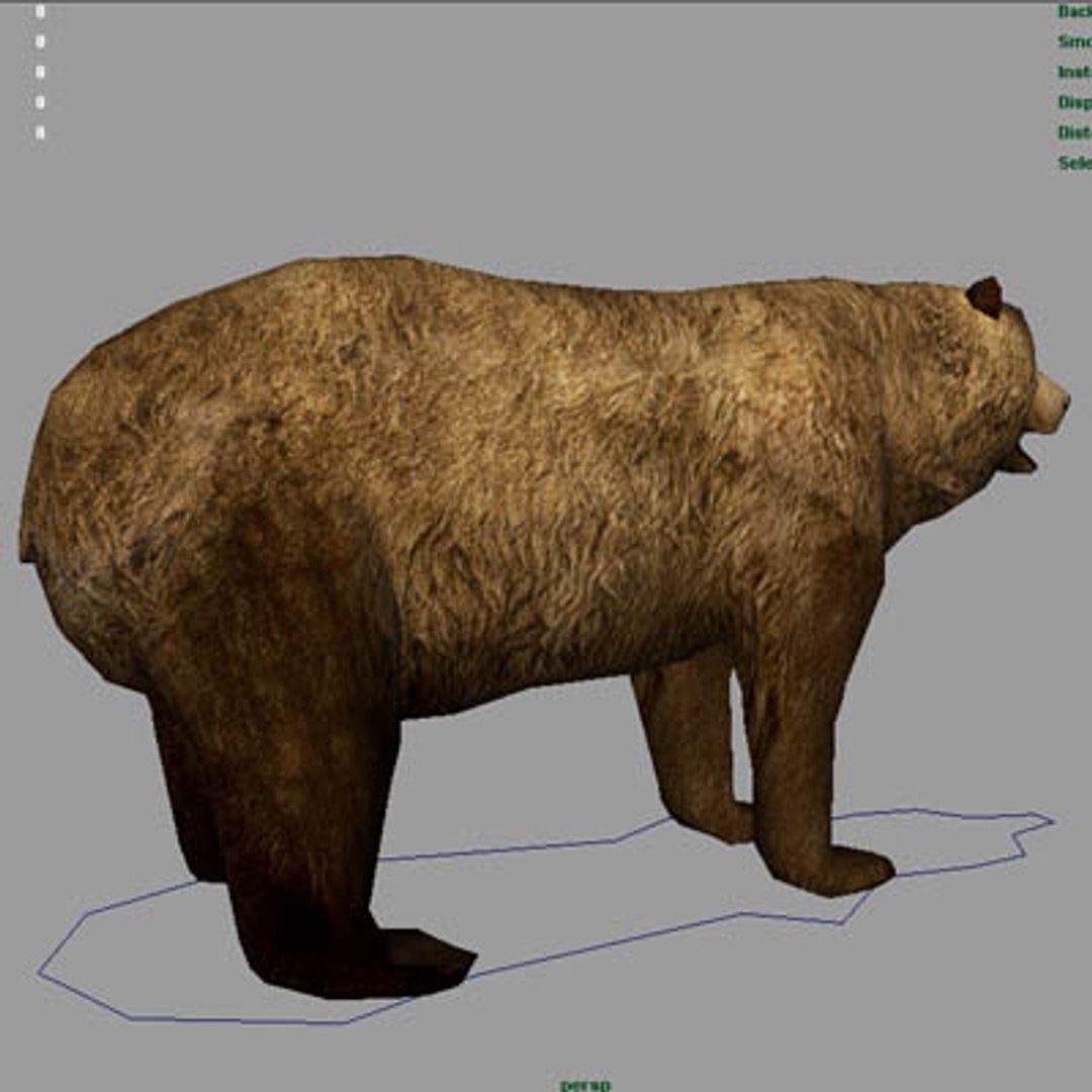 Rigged Bear Animation 3d Model