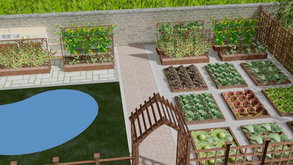 vegetable garden 3D 모델 - TurboSquid 2021709