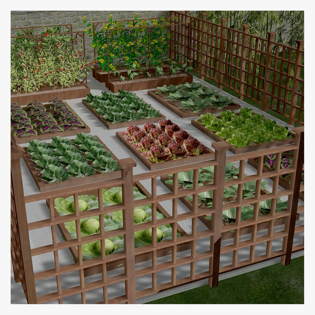 3D Vegetable Garden - TurboSquid 2021709