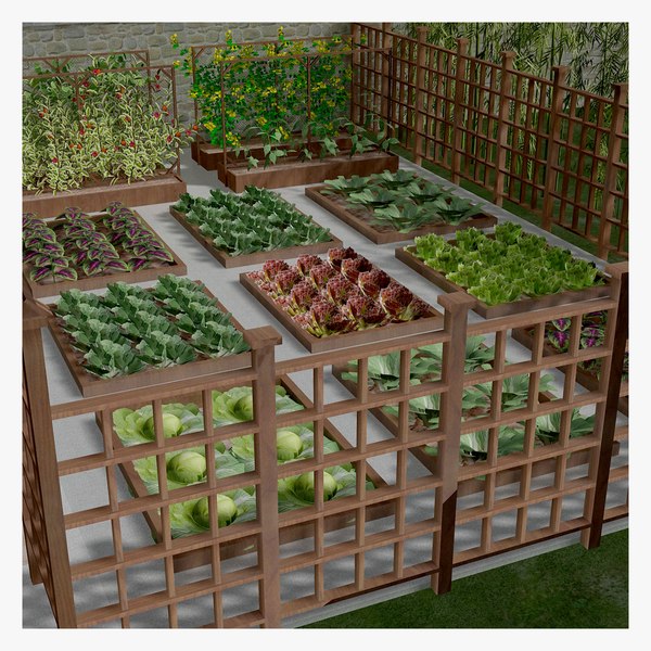 modelo 3d vegetable garden - TurboSquid 2021709
