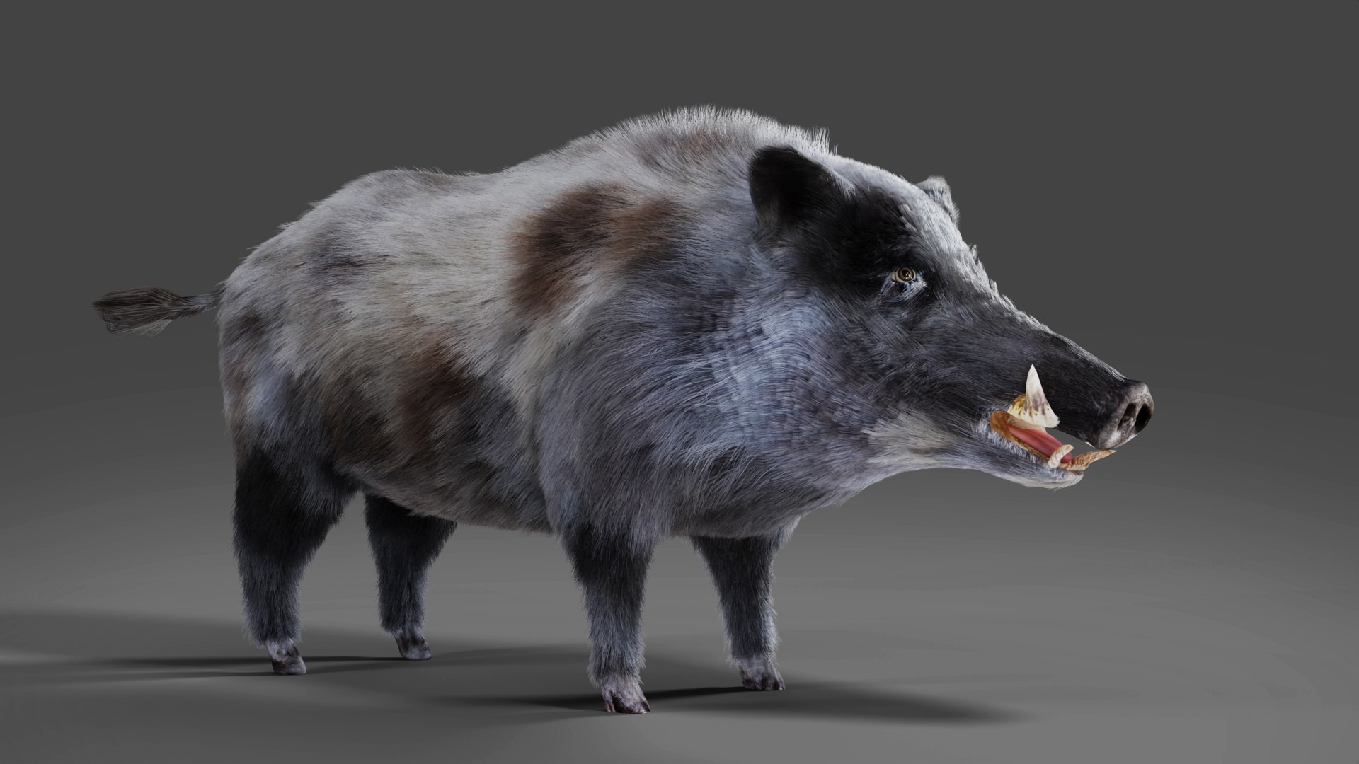3D Fur Wild Boar V04 Rigged And Animation - TurboSquid 1991175
