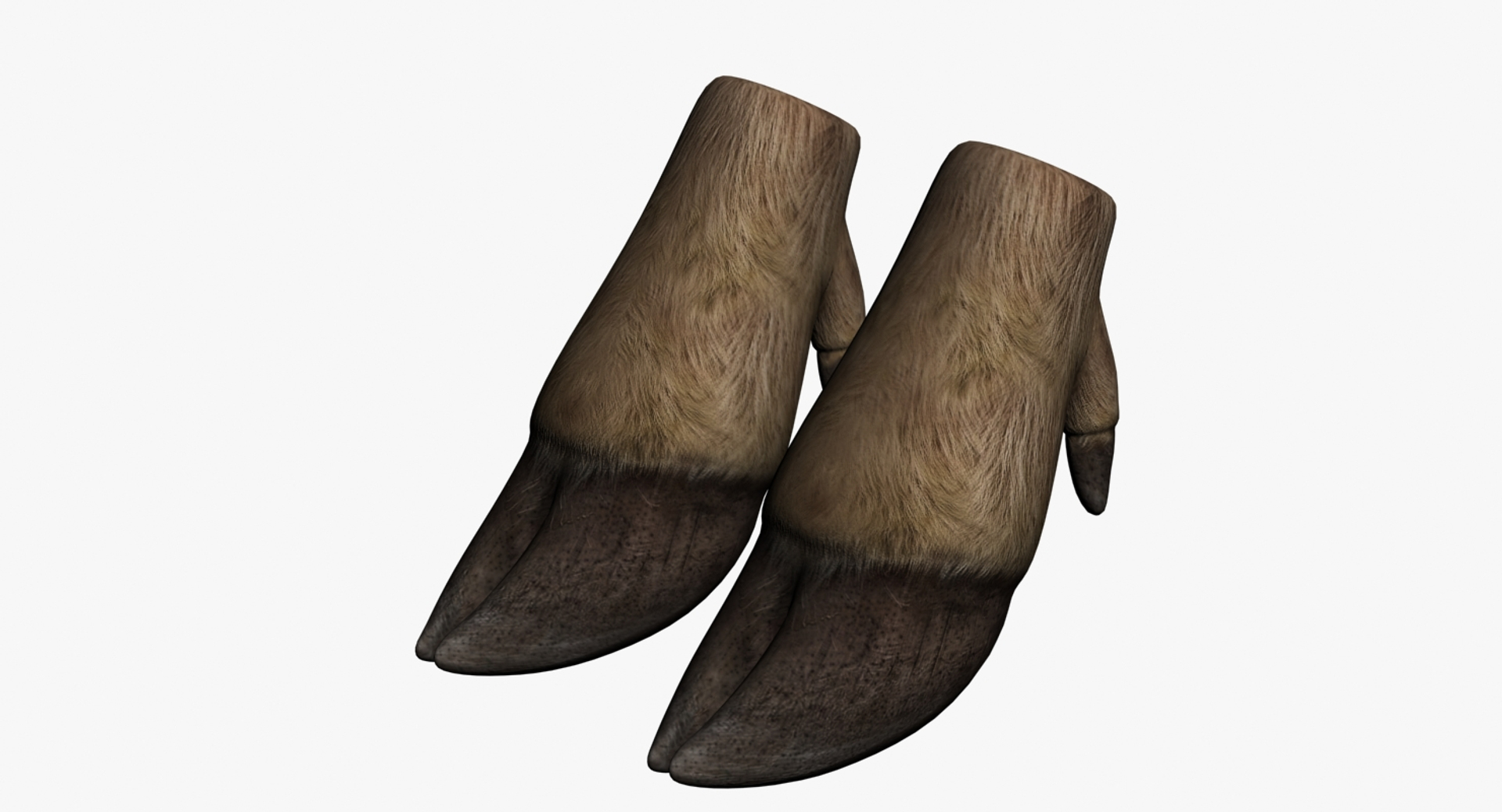 3D Model Moose Hoof - TurboSquid 1430717