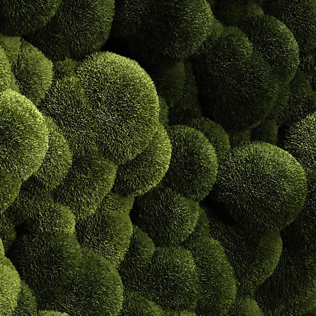 Moss 3D Model - TurboSquid 1499732