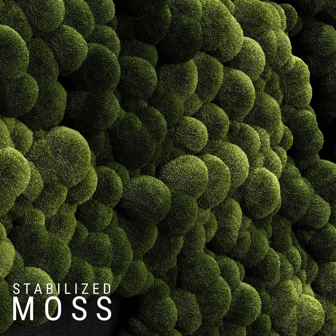 Moss 3D Model - TurboSquid 1499732