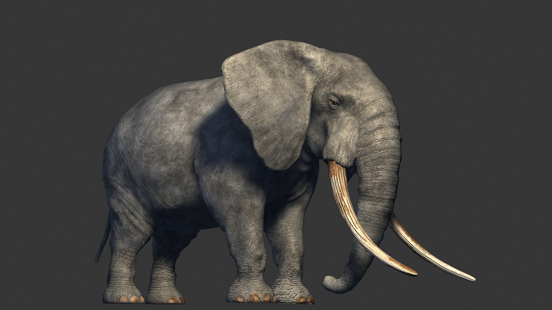 3D Elephant Model - TurboSquid 2181159