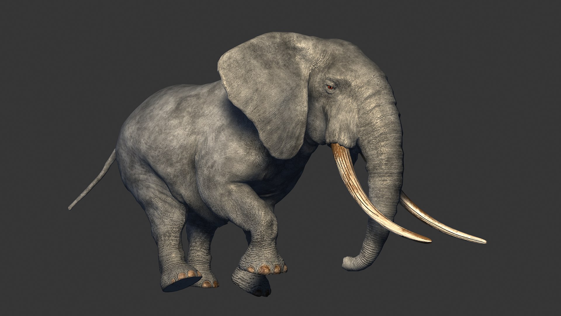 3D Elephant Model - TurboSquid 2181159