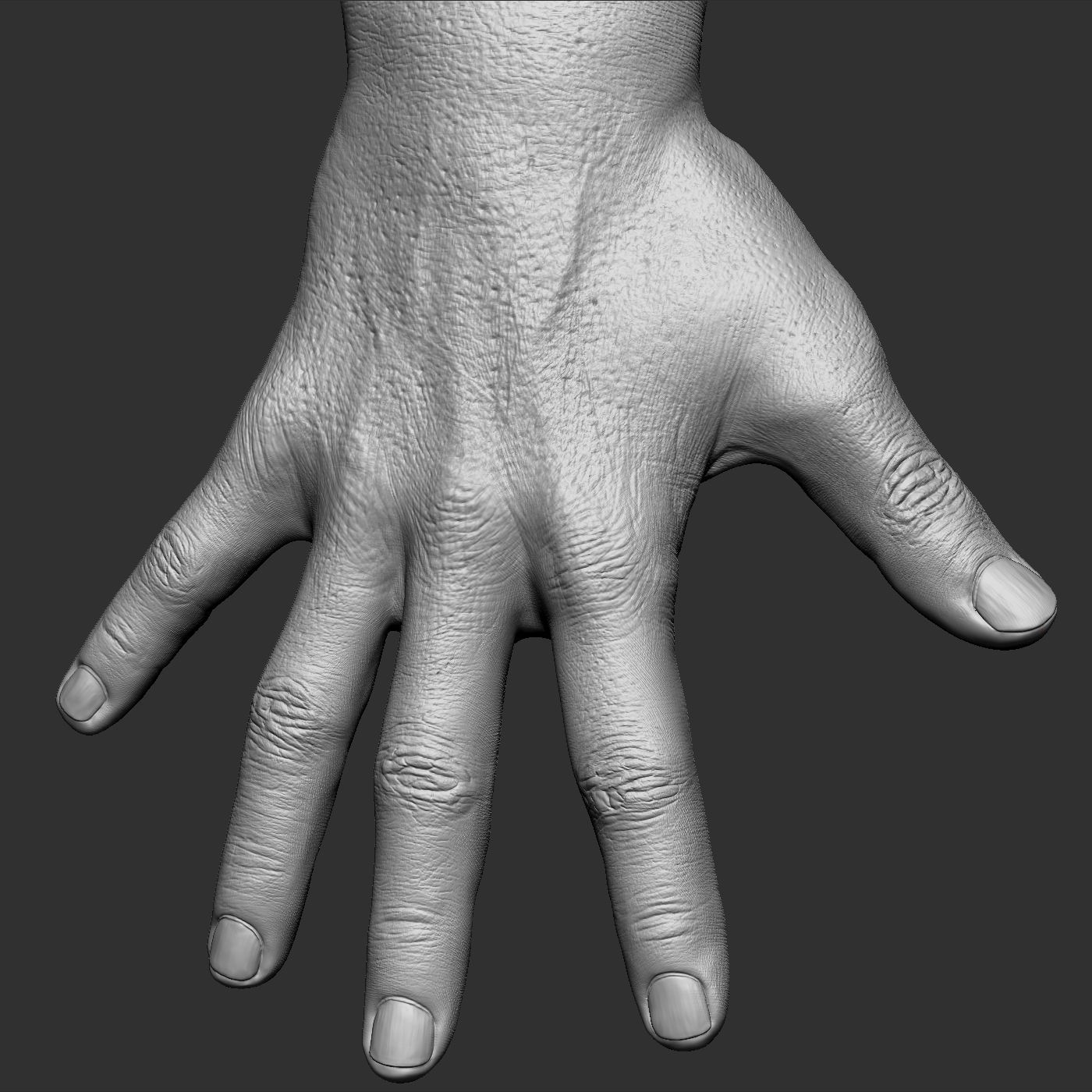 3D man hand realistic model - TurboSquid 1216823