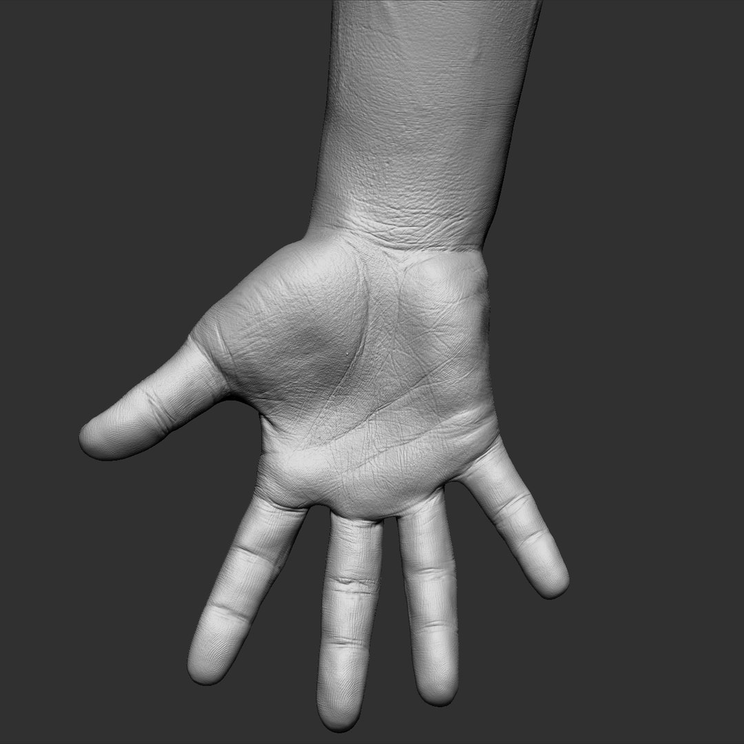 3D Man Hand Realistic Model - TurboSquid 1216823