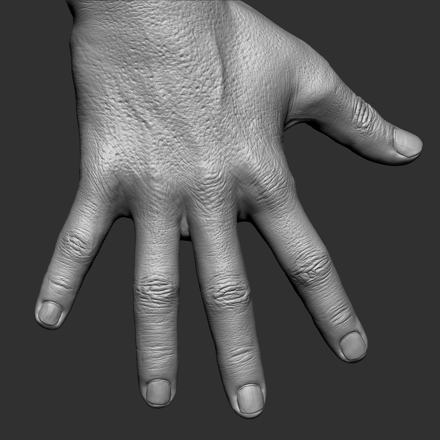 3D man hand realistic model - TurboSquid 1216823
