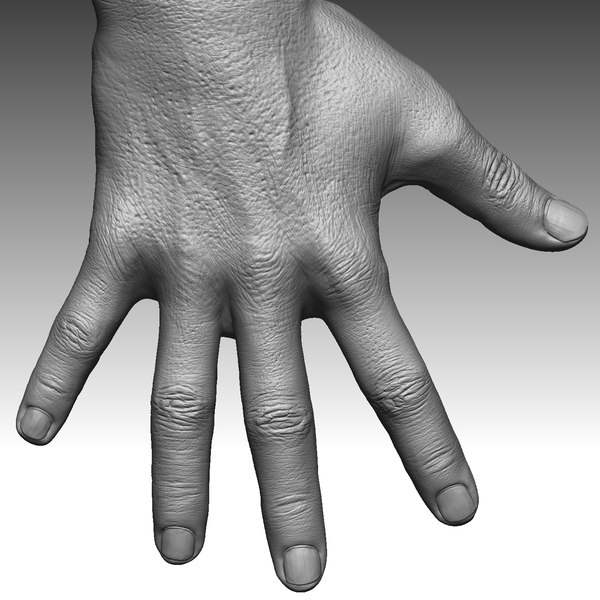 beauty child hand 3d model