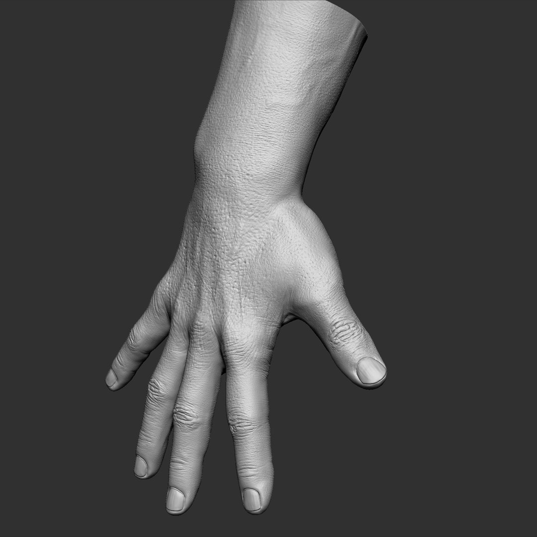 3D Man Hand Realistic Model - TurboSquid 1216823