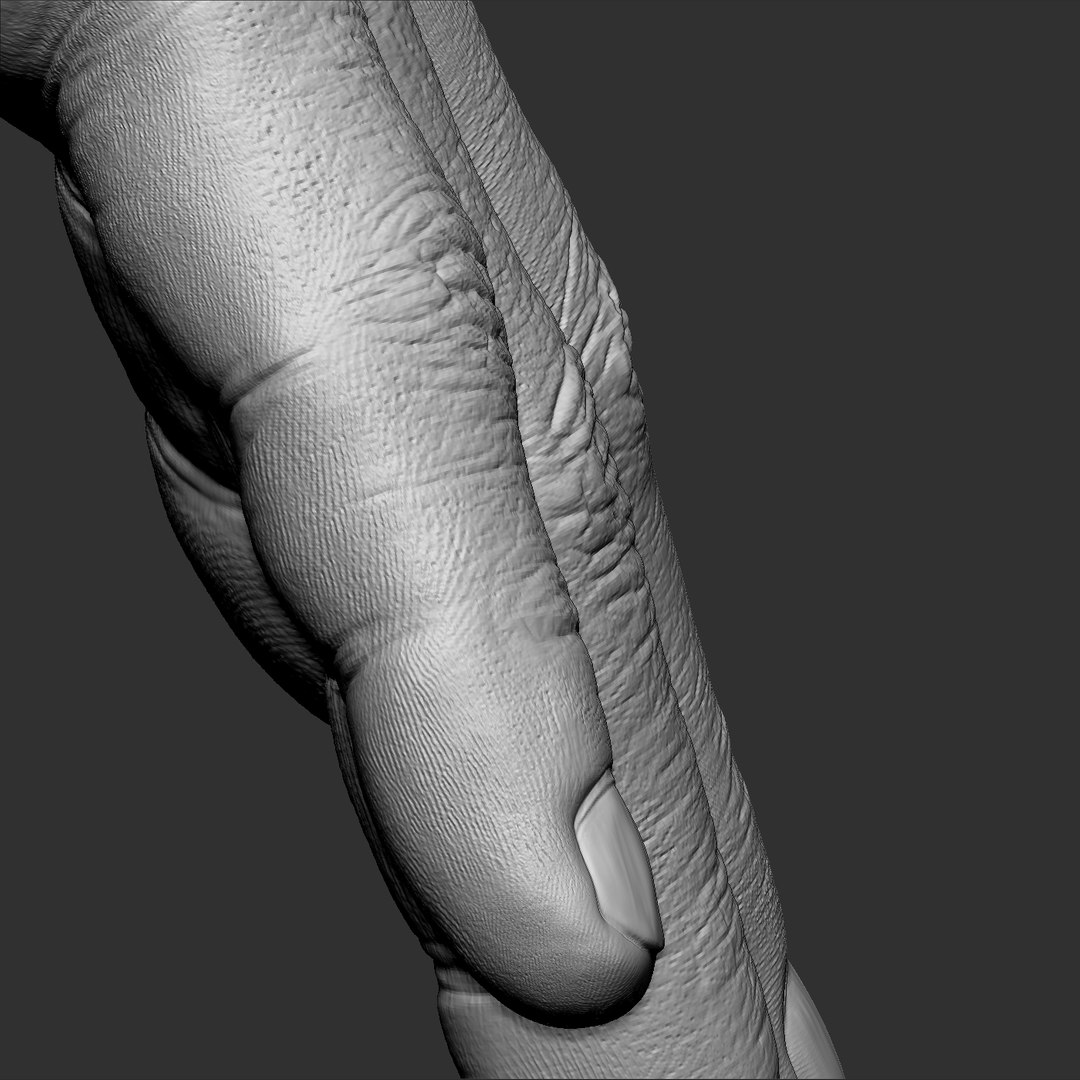 3D Man Hand Realistic Model - TurboSquid 1216823