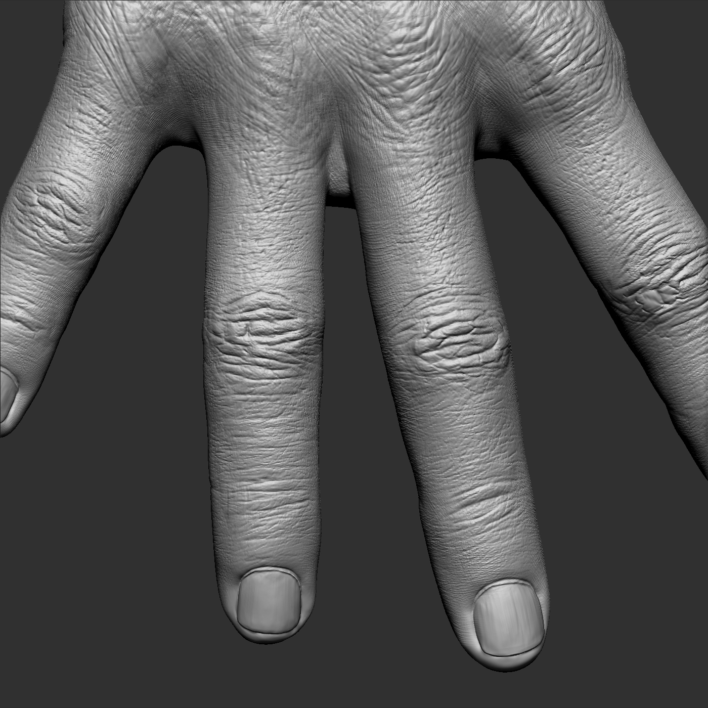 3D man hand realistic model - TurboSquid 1216823