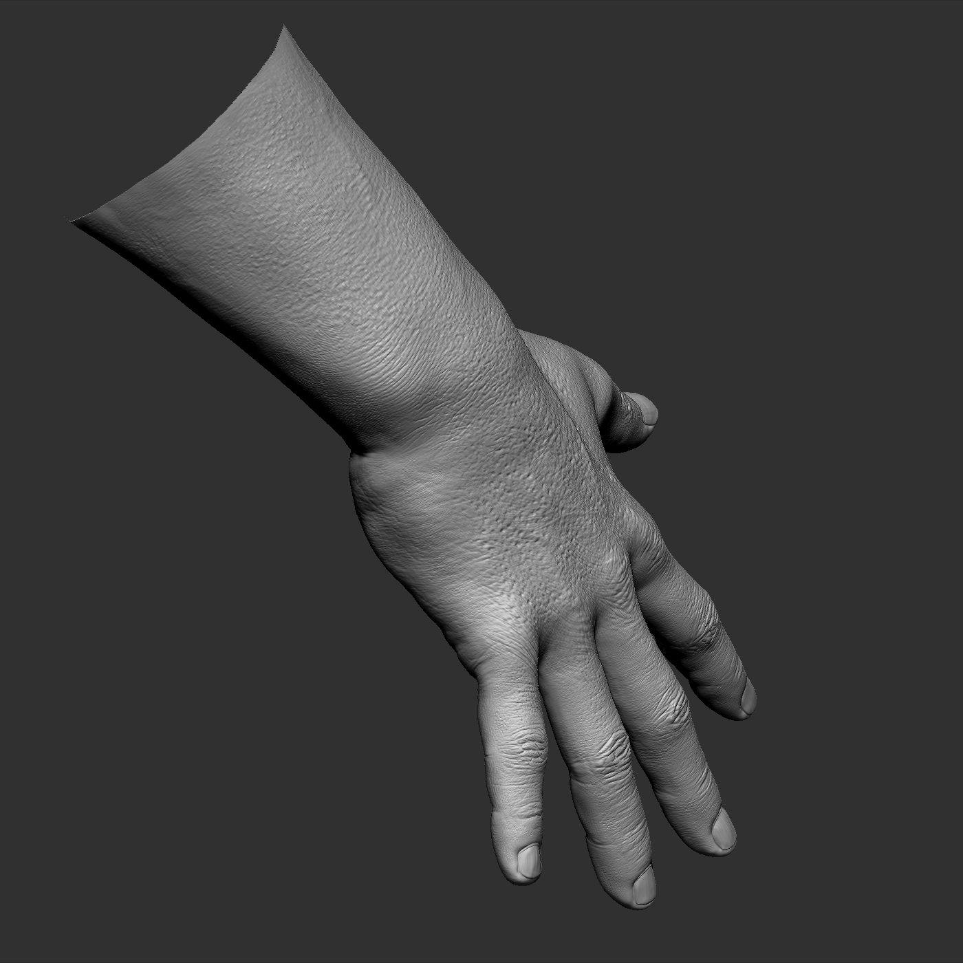 3D man hand realistic model - TurboSquid 1216823