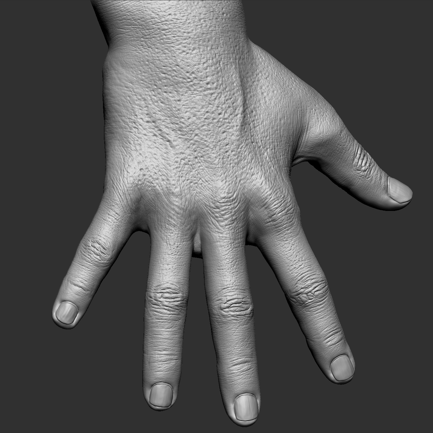 3D man hand realistic model - TurboSquid 1216823