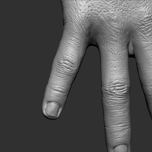 3D man hand realistic model - TurboSquid 1216823