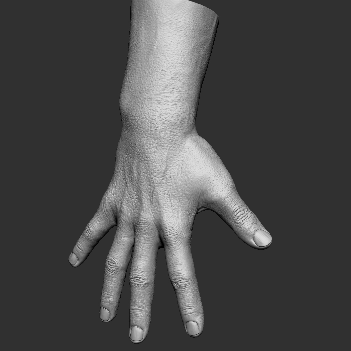 3D man hand realistic model - TurboSquid 1216823