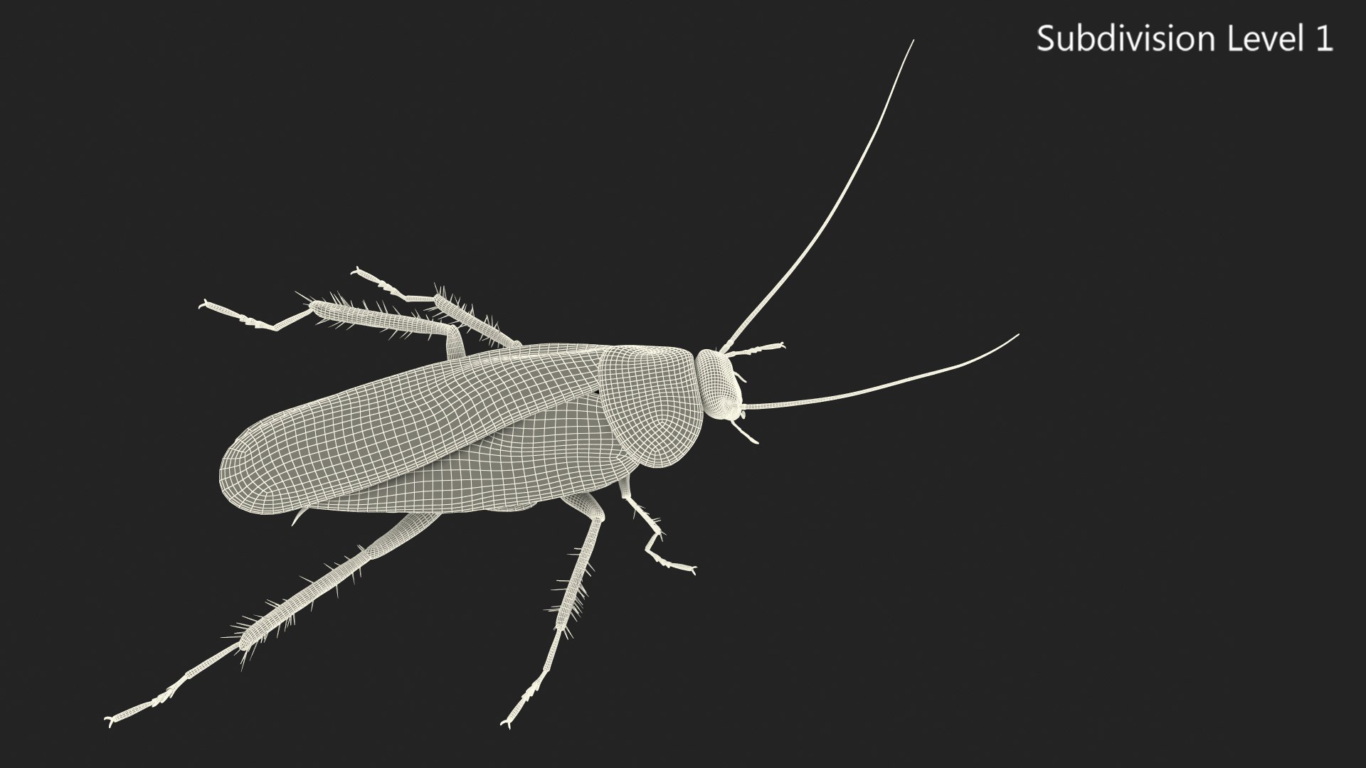 Animated Cockroach Running Rigged For Cinema 4D 3D Model - TurboSquid ...