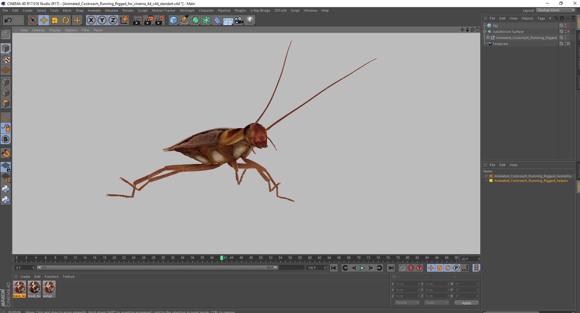 Animated Cockroach Running Rigged for Cinema 4D 3D model - TurboSquid ...