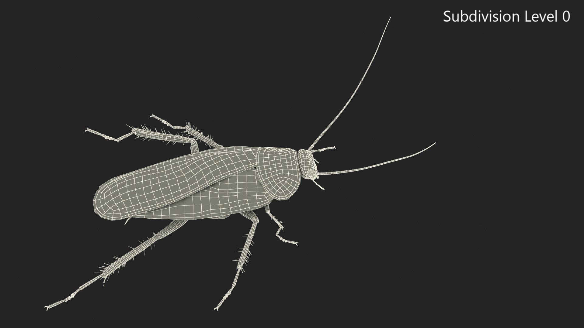Animated Cockroach Running Rigged For Cinema 4D 3D Model - TurboSquid ...