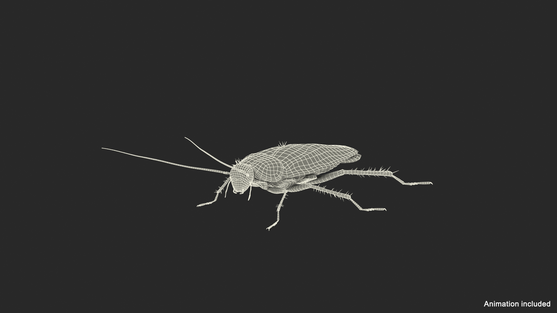 Animated Cockroach Running Rigged For Cinema 4D 3D Model - TurboSquid ...