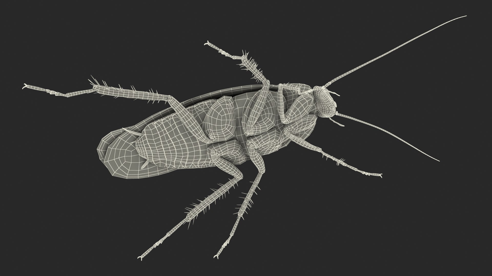 Animated Cockroach Running Rigged for Cinema 4D 3D model - TurboSquid ...