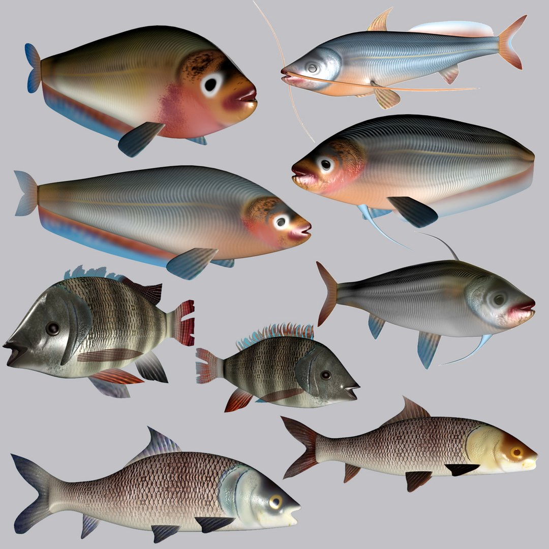 3D Model Fish Collection - TurboSquid 2049936
