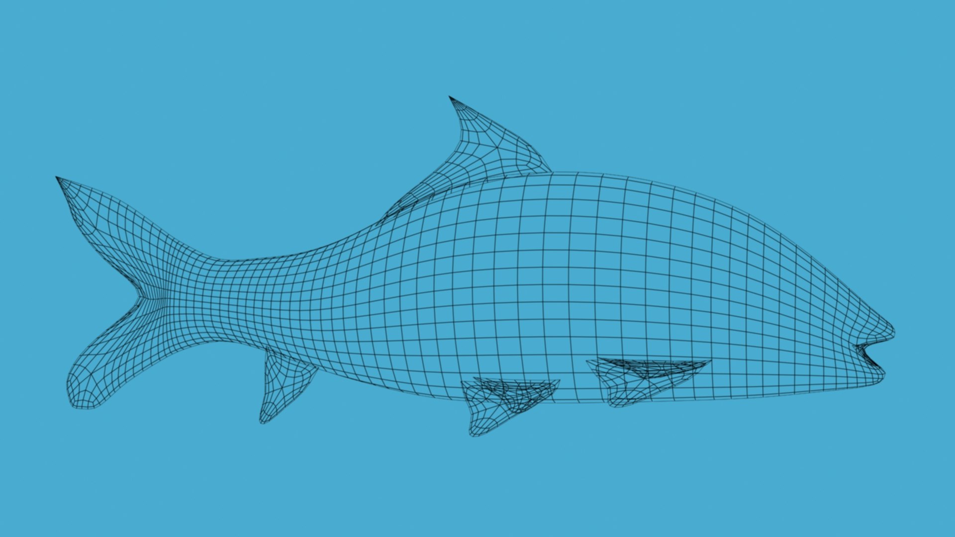 3D Model Fish Collection - TurboSquid 2049936