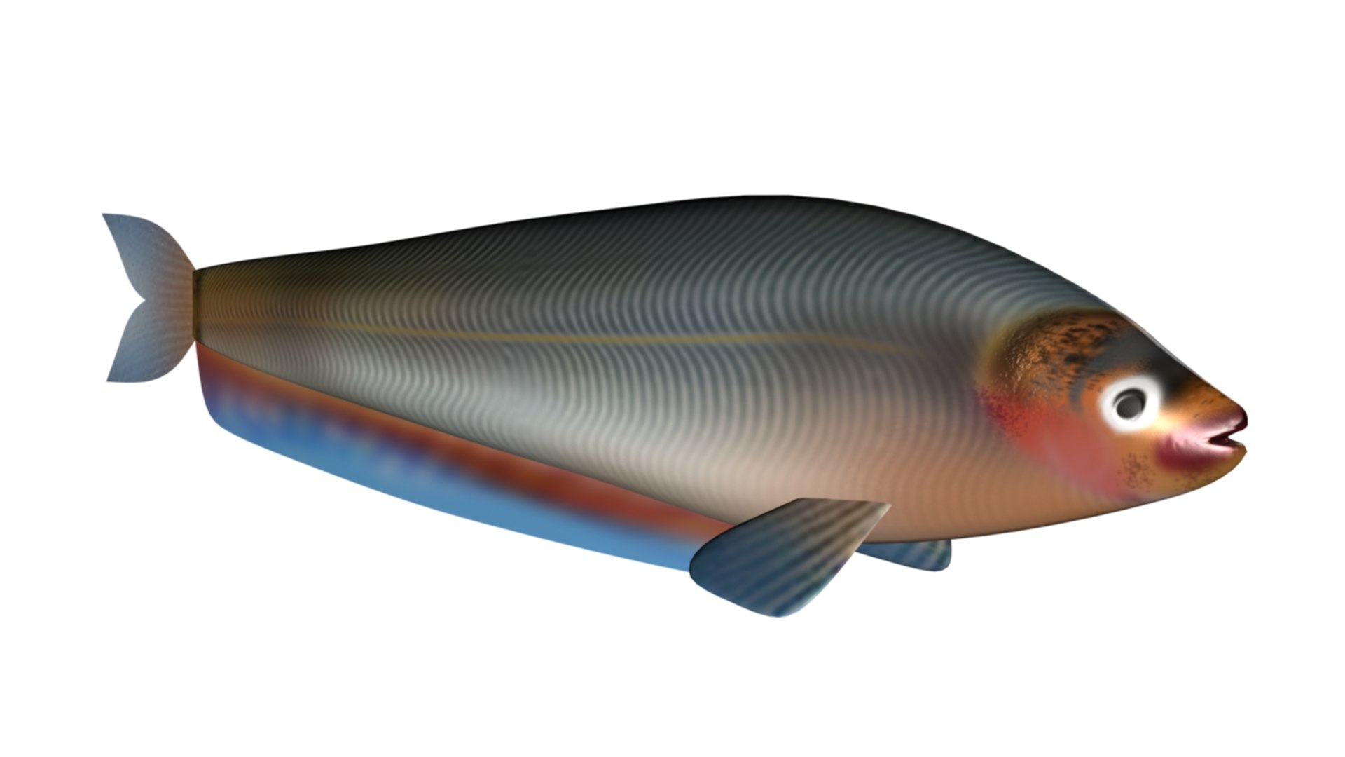 3D Model Fish Collection - TurboSquid 2049936