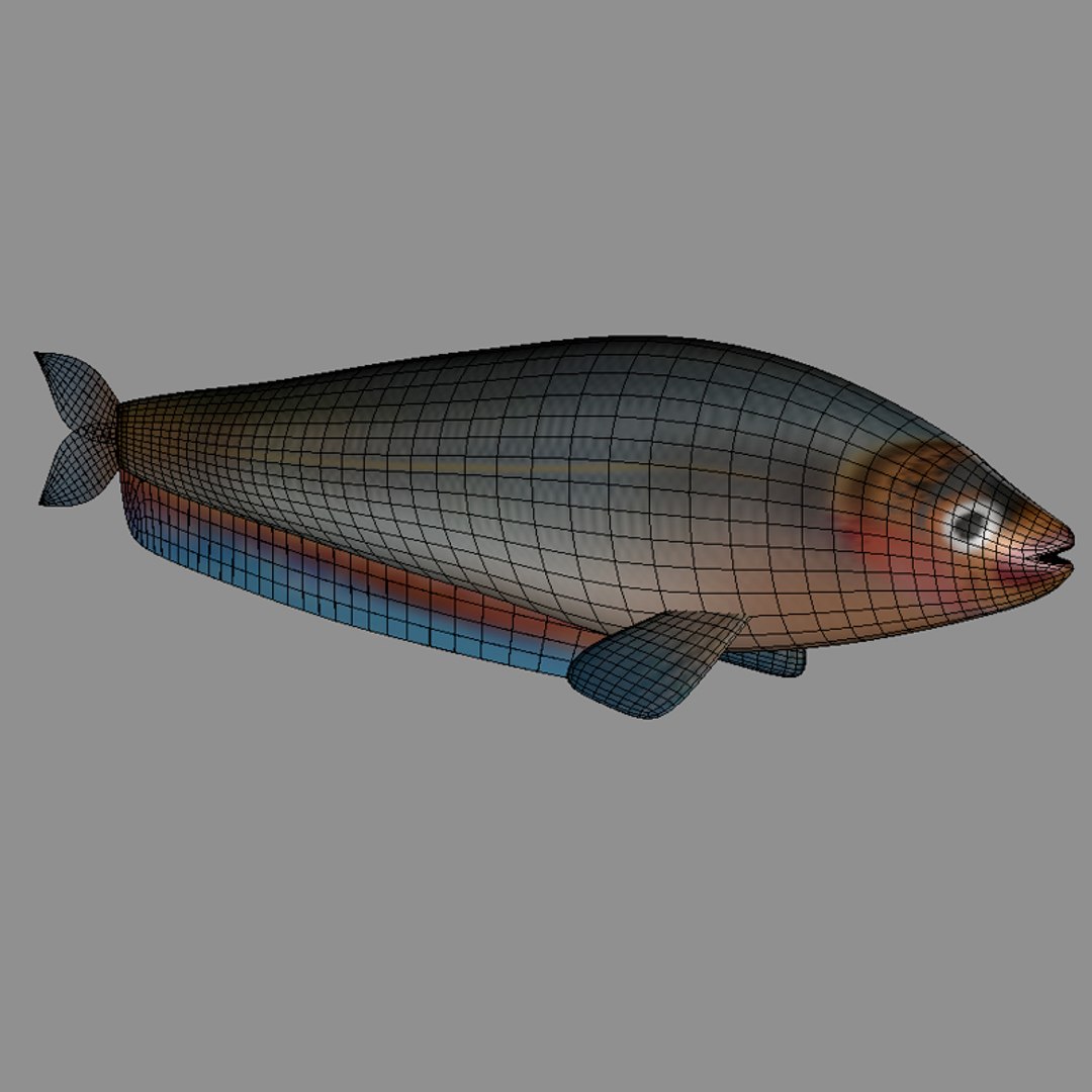 3D Model Fish Collection - TurboSquid 2049936