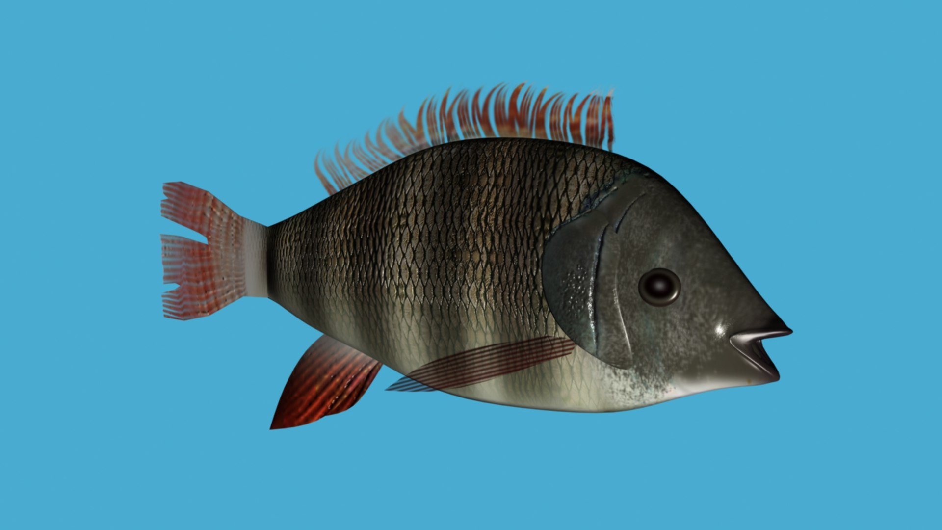 3D Model Fish Collection - TurboSquid 2049936