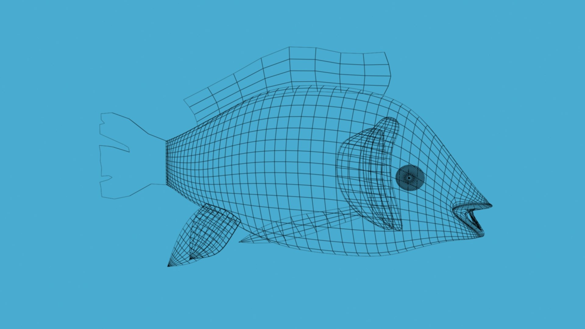 3D Model Fish Collection - TurboSquid 2049936