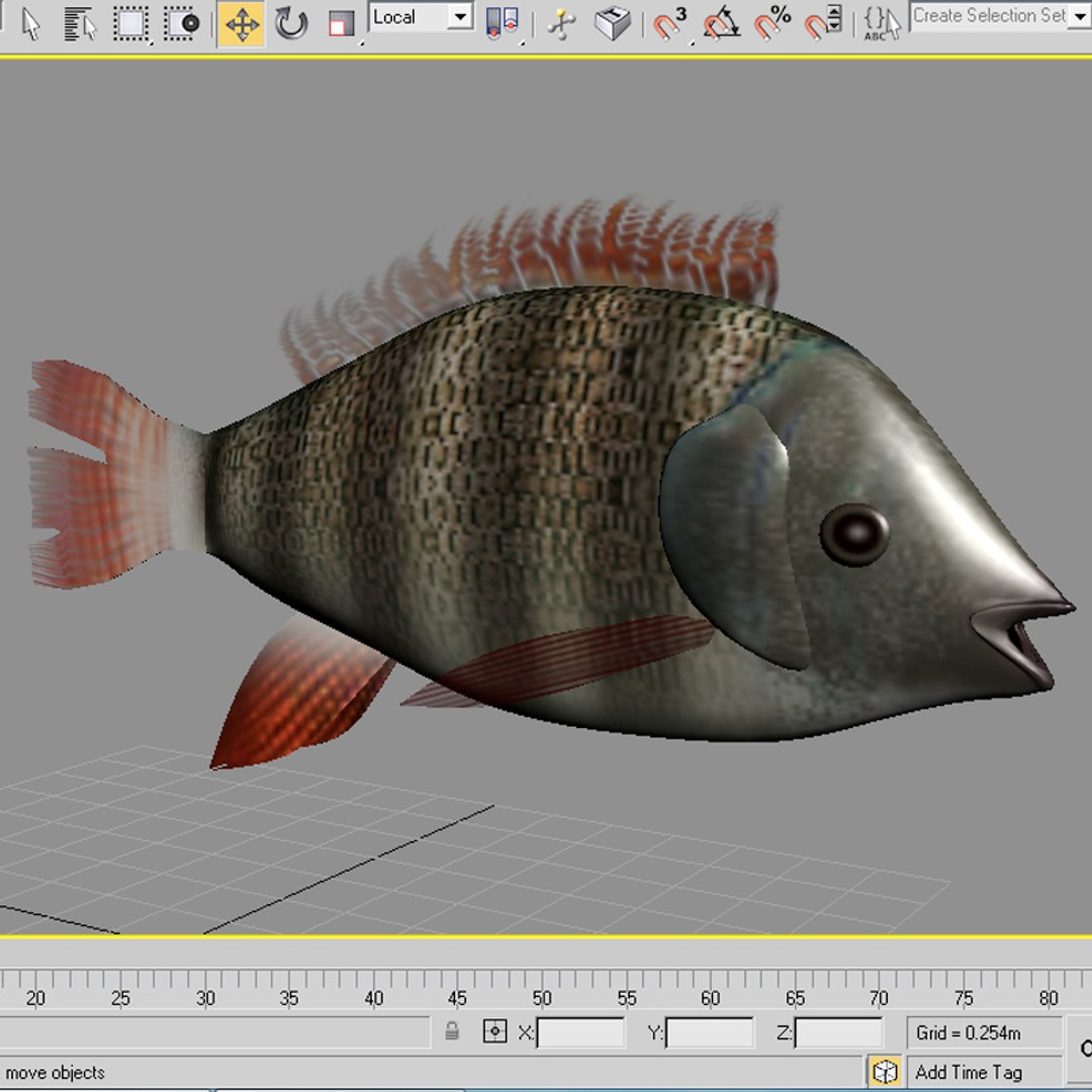 3D Model Fish Collection - TurboSquid 2049936