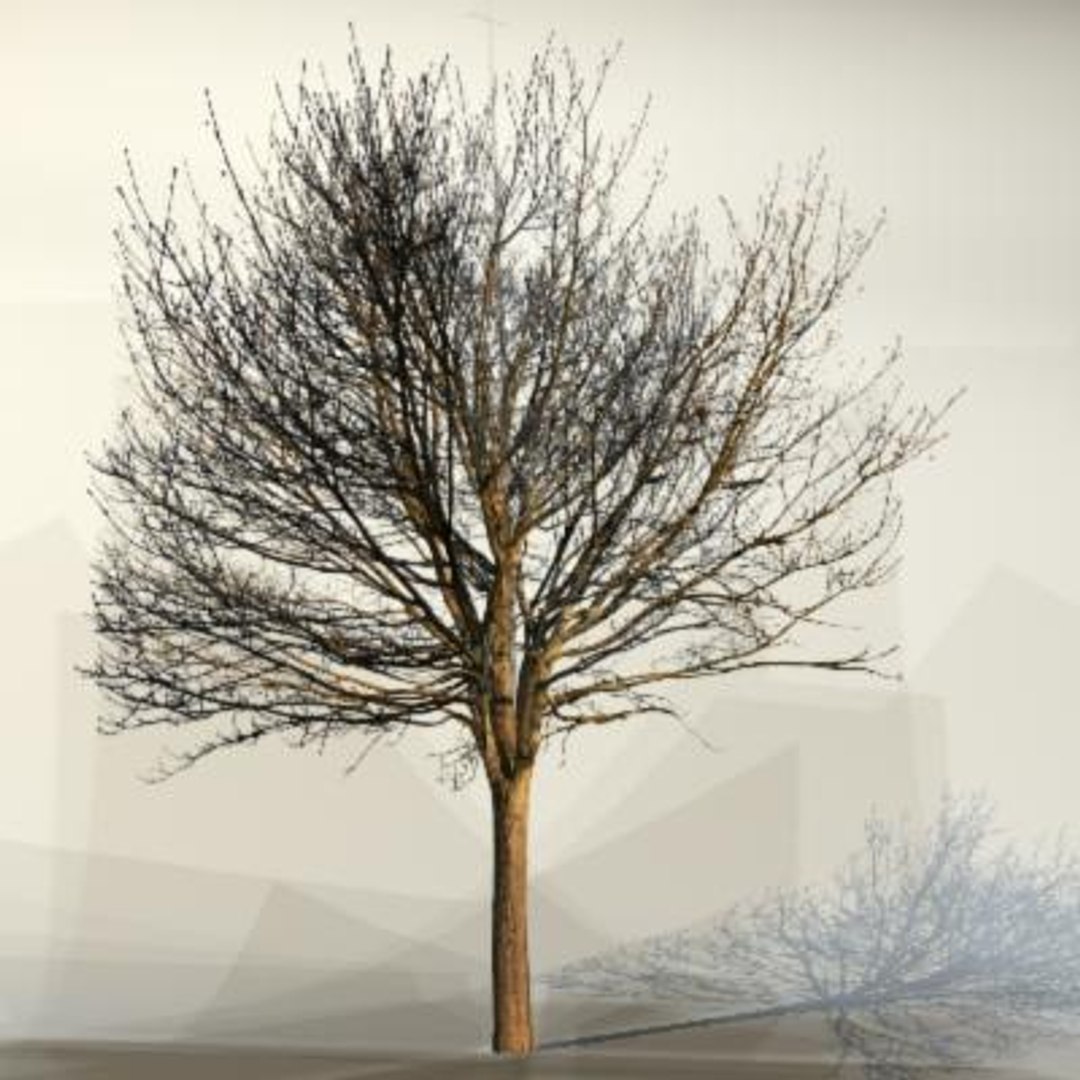 pc tree 3d max