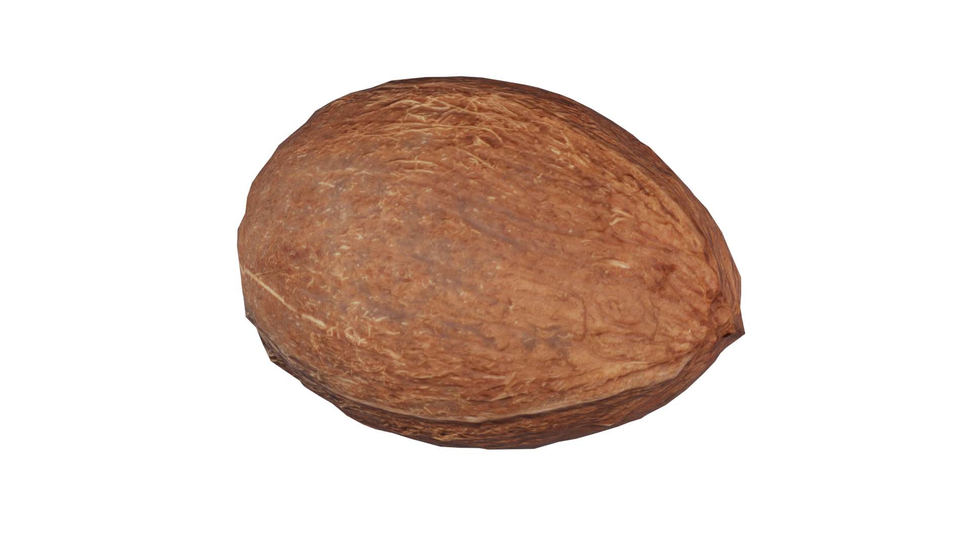 3D Coconut Remastered - TurboSquid 2362365