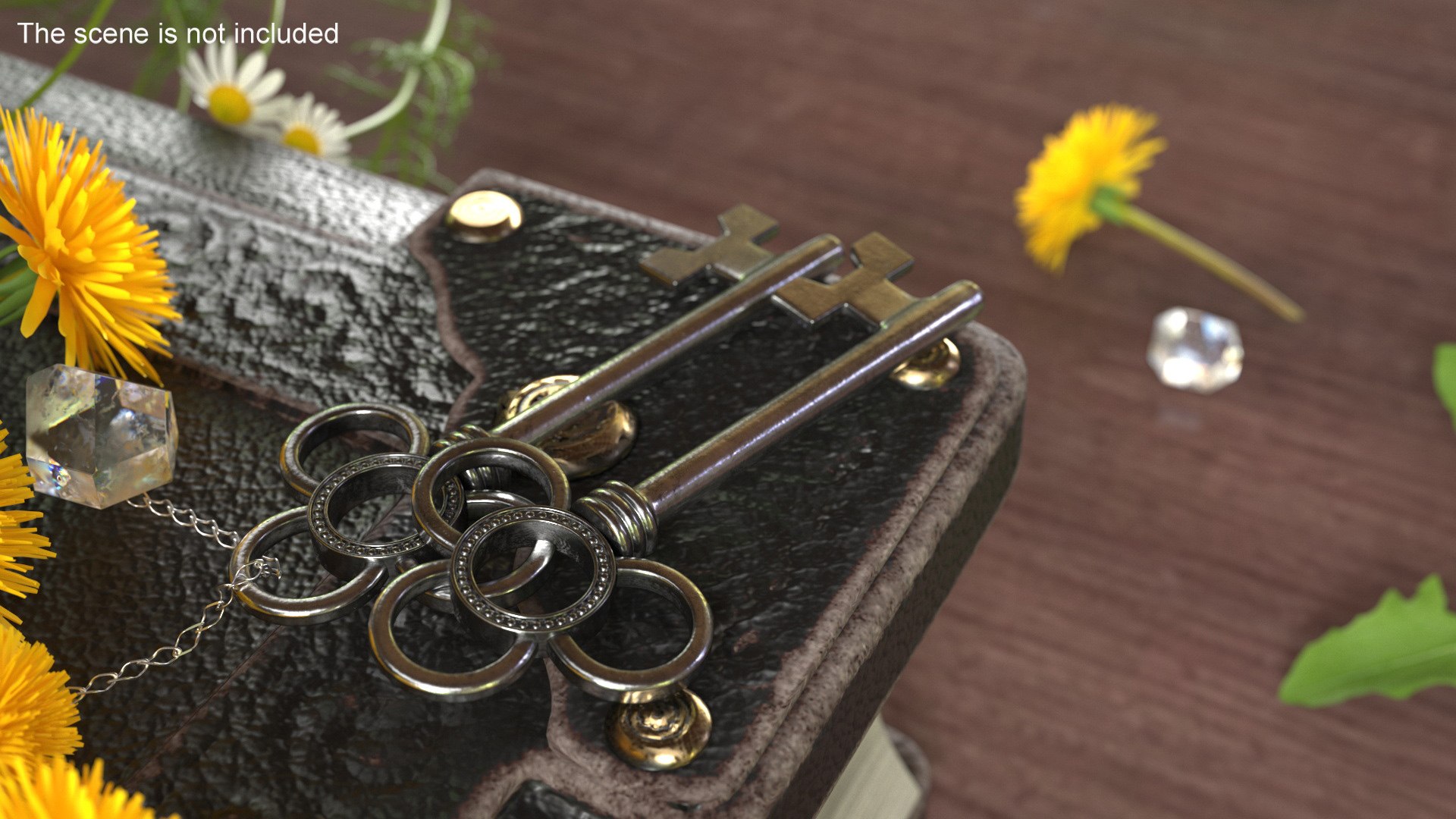 3D Traditional Skeleton Key Silver Model - TurboSquid 2246378
