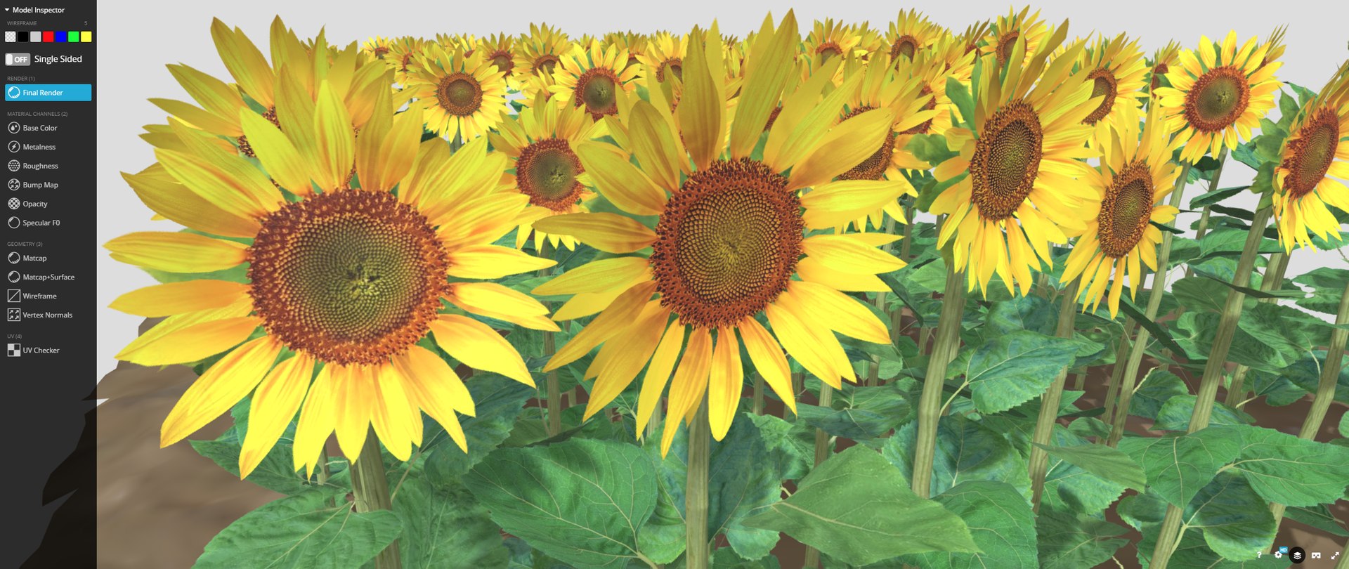 Sunflower Plants 3D - TurboSquid 1878617