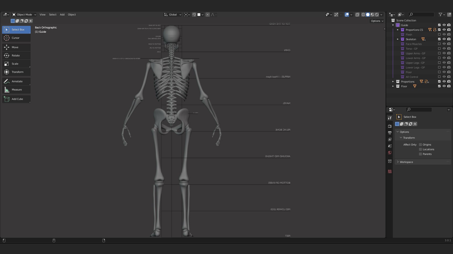 3D Model Male Body Anatomy - TurboSquid 2252514