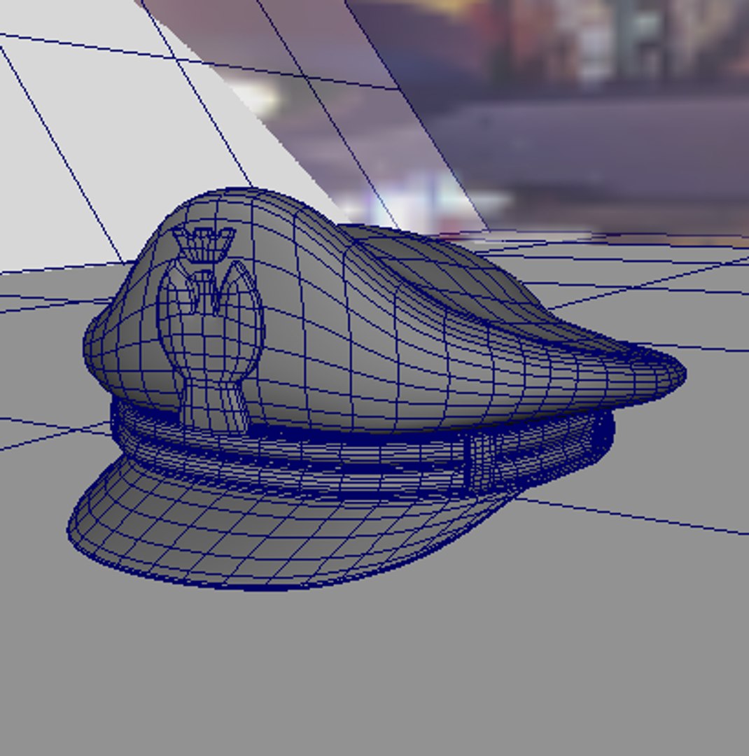 Police Hat X