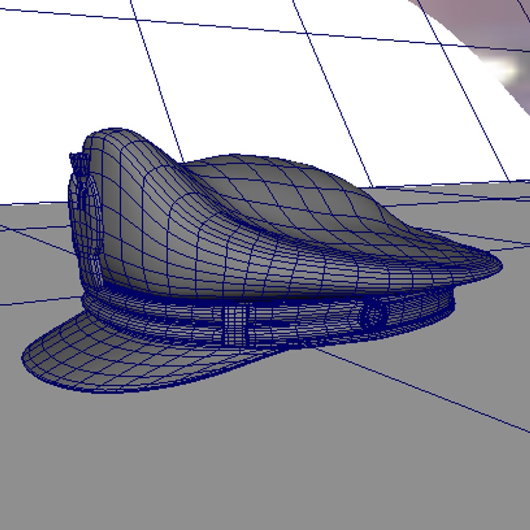 Police Hat X