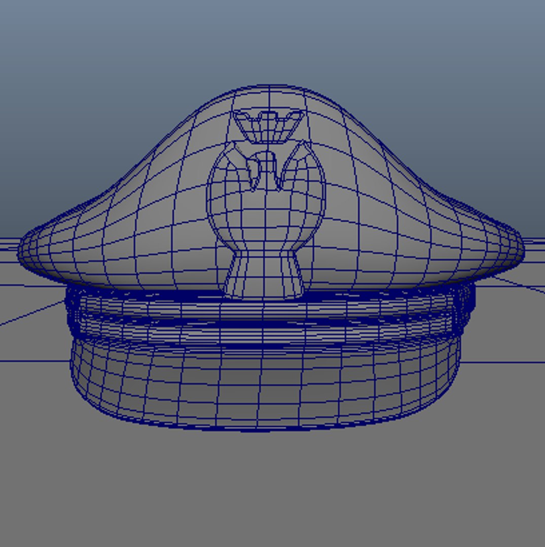 Police Hat X