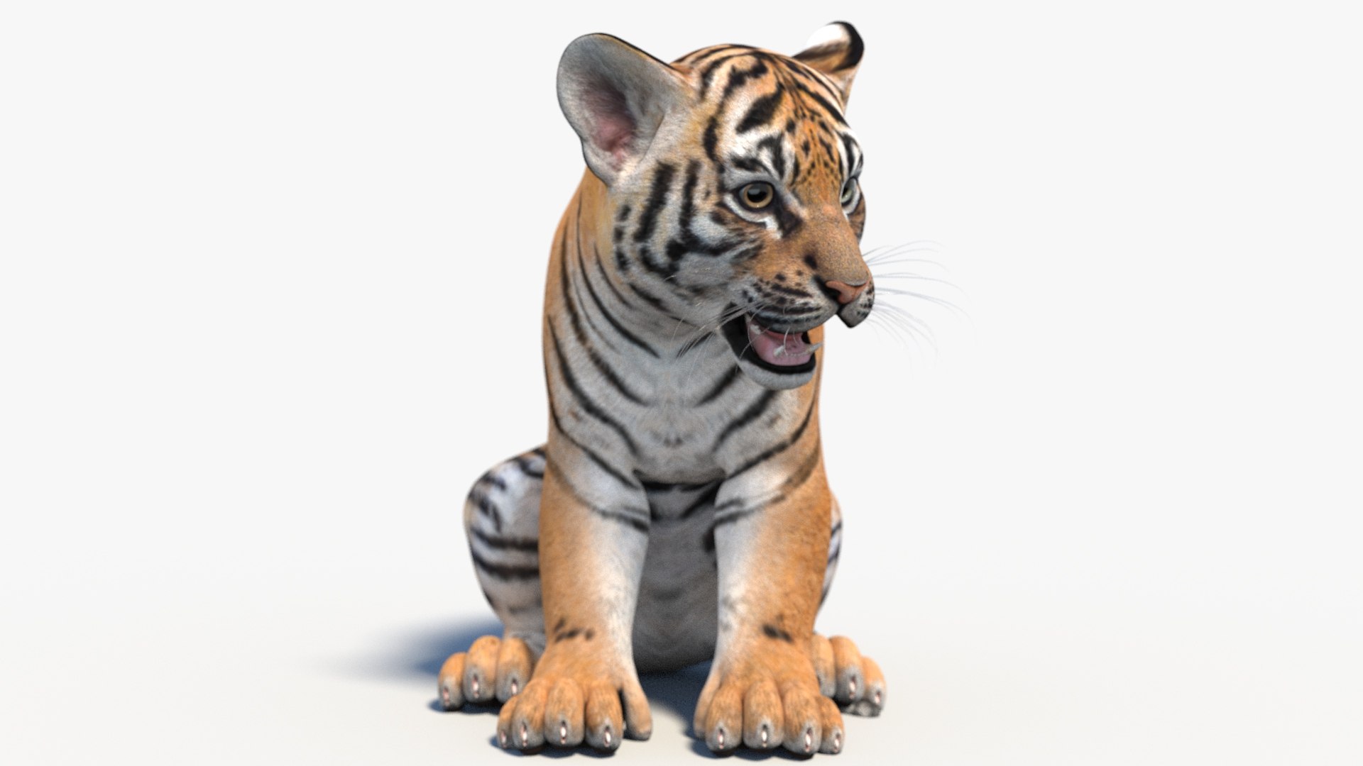 3D Rigged Tiger Cub 3D Model - TurboSquid 2333982