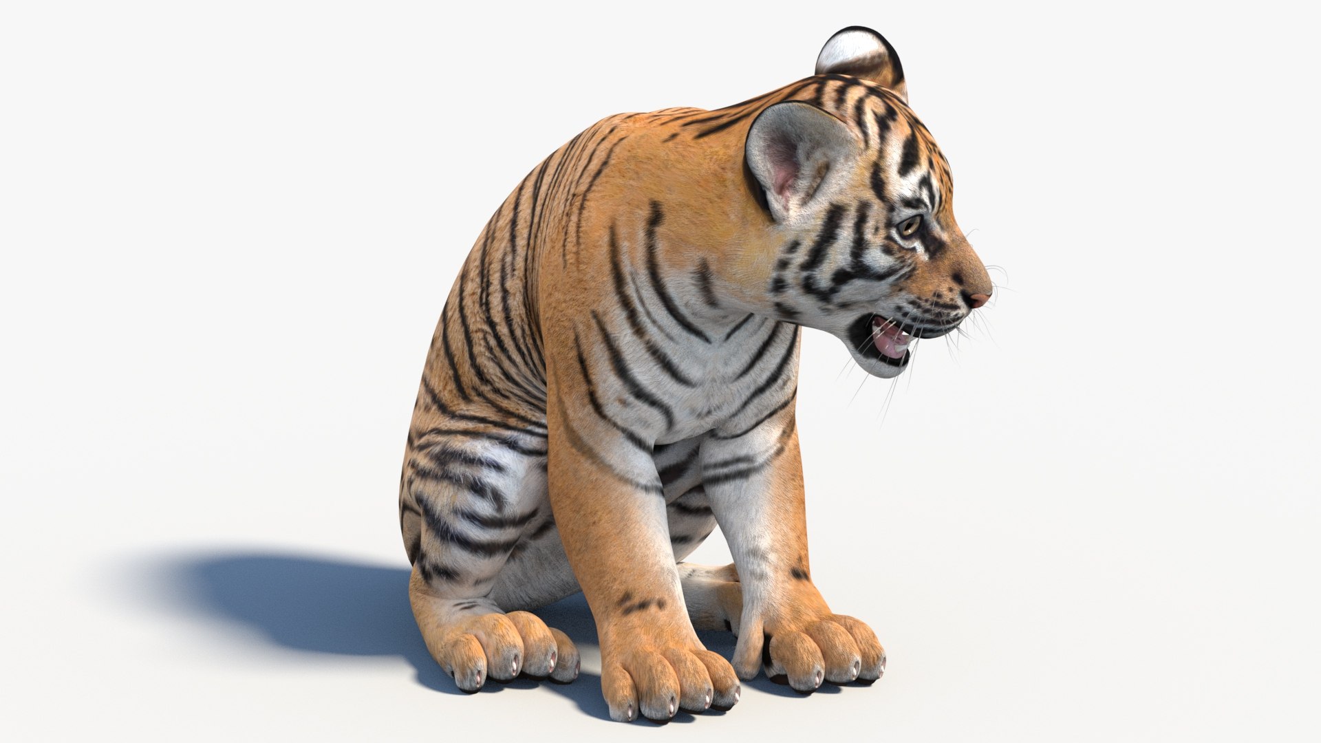 3D Rigged Tiger Cub 3D Model - TurboSquid 2333982