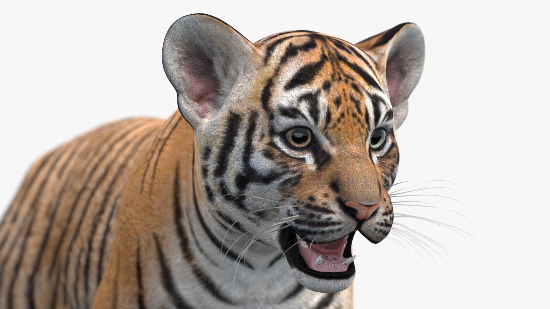 3D Rigged Tiger Cub 3D Model - TurboSquid 2333982