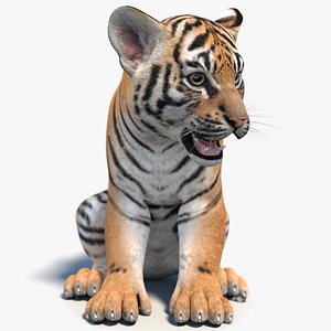 Rigged Tiger 3D Models For Download | TurboSquid