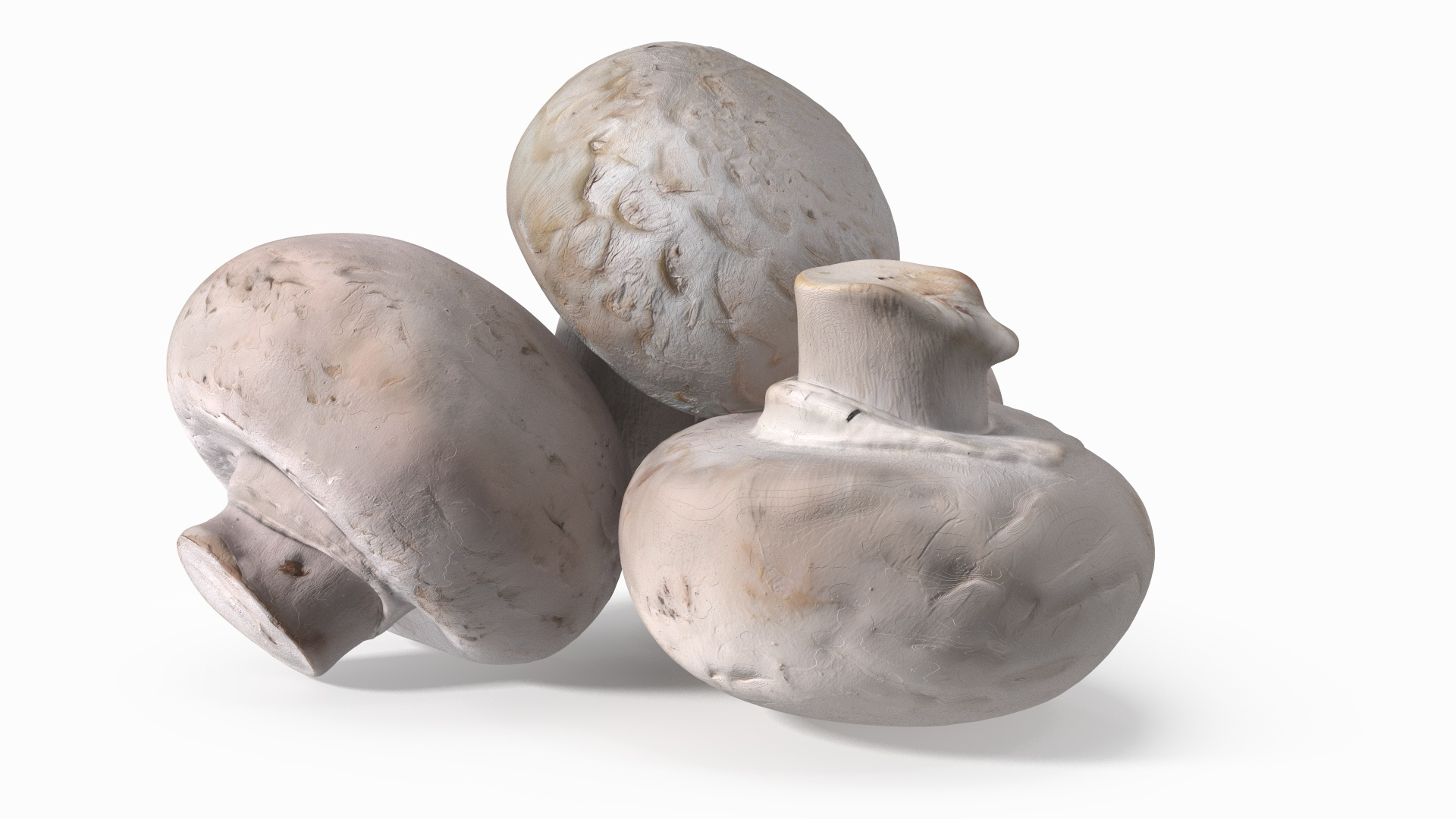3D White Portobello Mushrooms Heap - TurboSquid 2385136